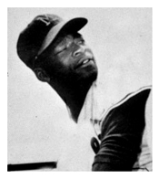 Negro Leagues Baseball eMuseum: Personal Profiles: Henry Mason